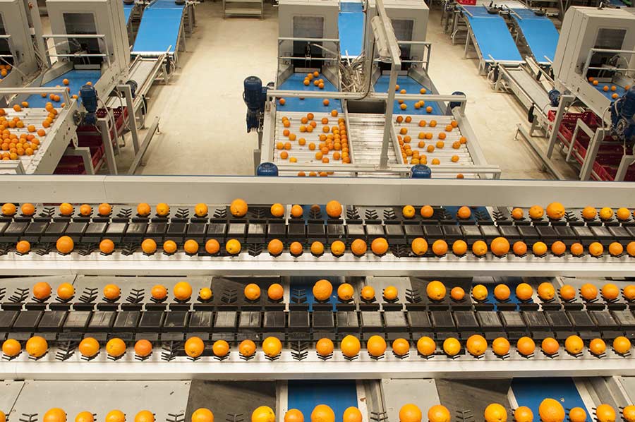 Citrus_processing – Agresolve Citrus_processing – Agresolve