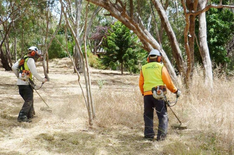 landscaping_grass_slashing – Agresolve